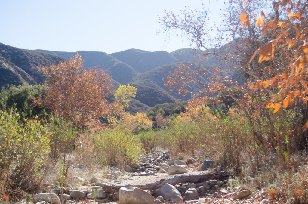 10 Best Hiking Trails in Temecula (Striking Views & Cardio Rich)