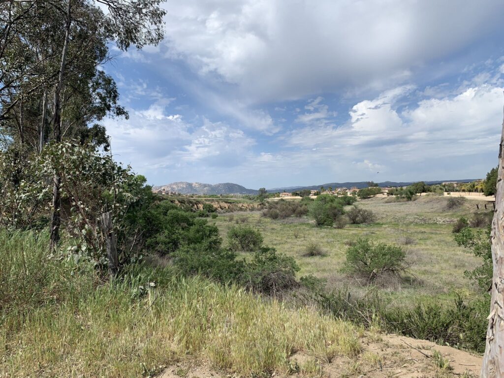 10 Best Hiking Trails in Temecula (Striking Views & Cardio Rich)