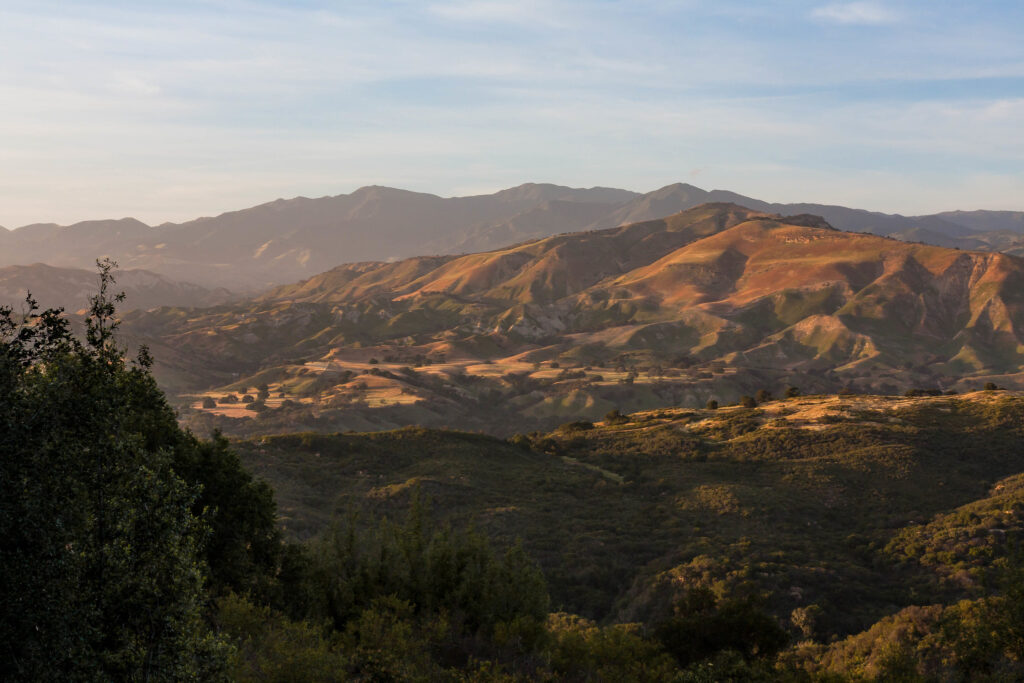 10 Best Hikes Near Paso Robles (Birds & Flowers)