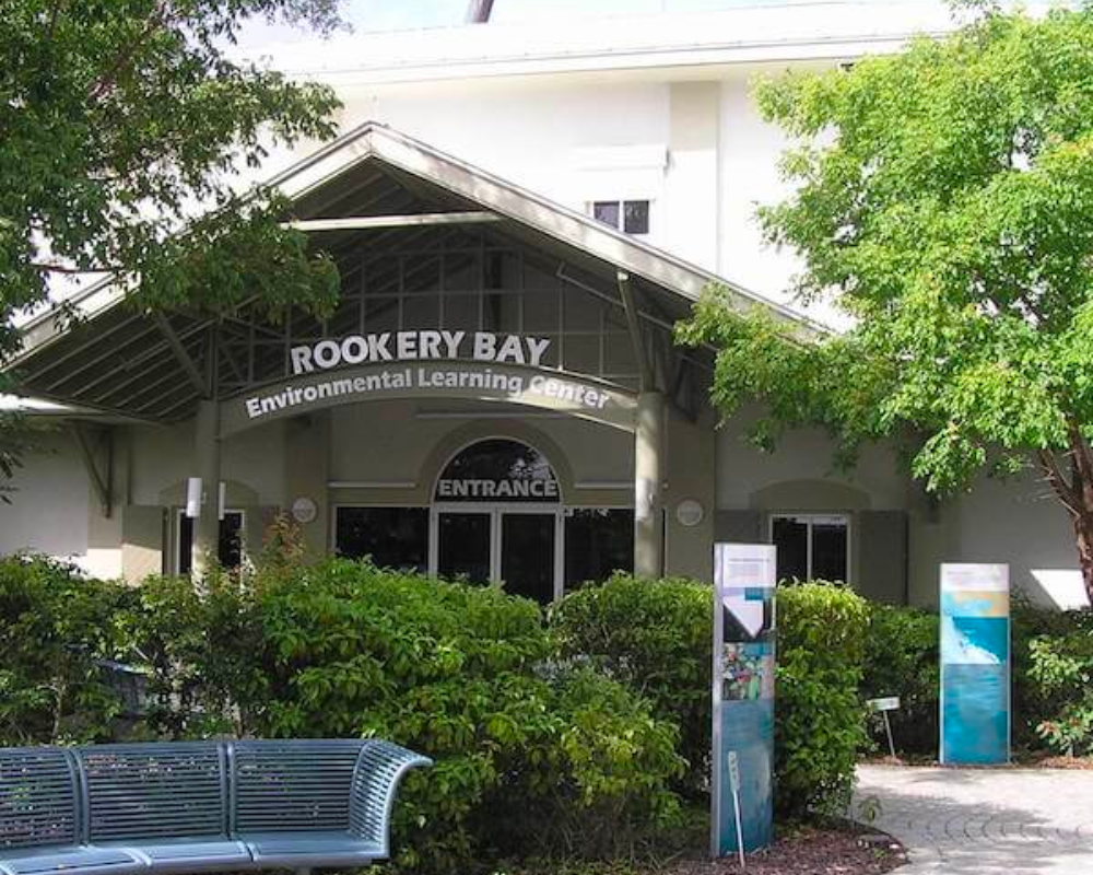 40 BEST Things To Do in Naples, FL (Fun & Unique!)