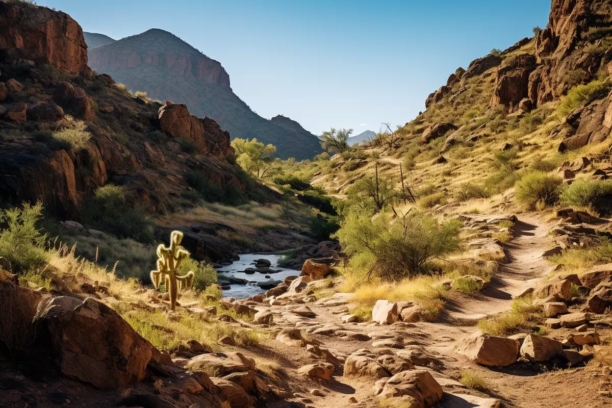 Tucson Treks Unveiled: Top 15 Hikes with Falls & Views