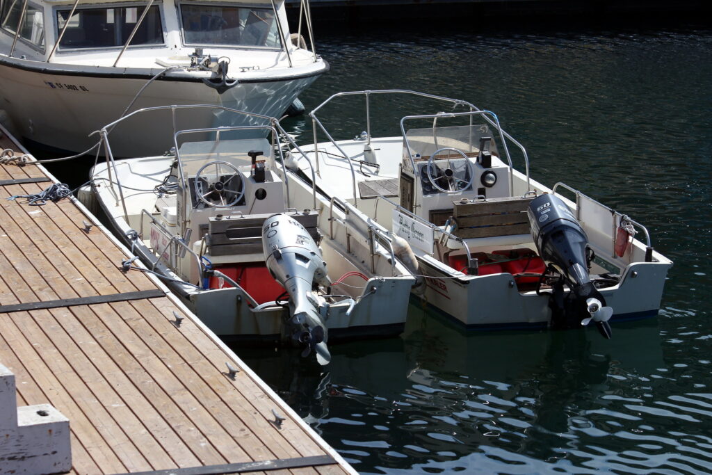 Top 9 Worst Boat Brands You'll Want to Avoid (Get These Ones Instead!)