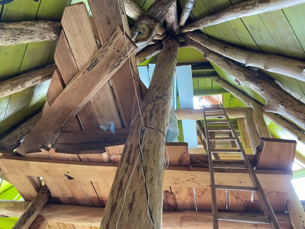 15 Top Treehouses in Maryland (Unique & Fun!)