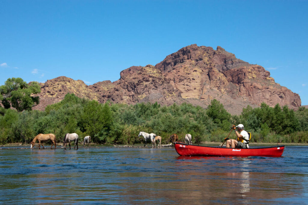 15 BEST Lazy Rivers in Arizona (Relax And Float Down Stream!)