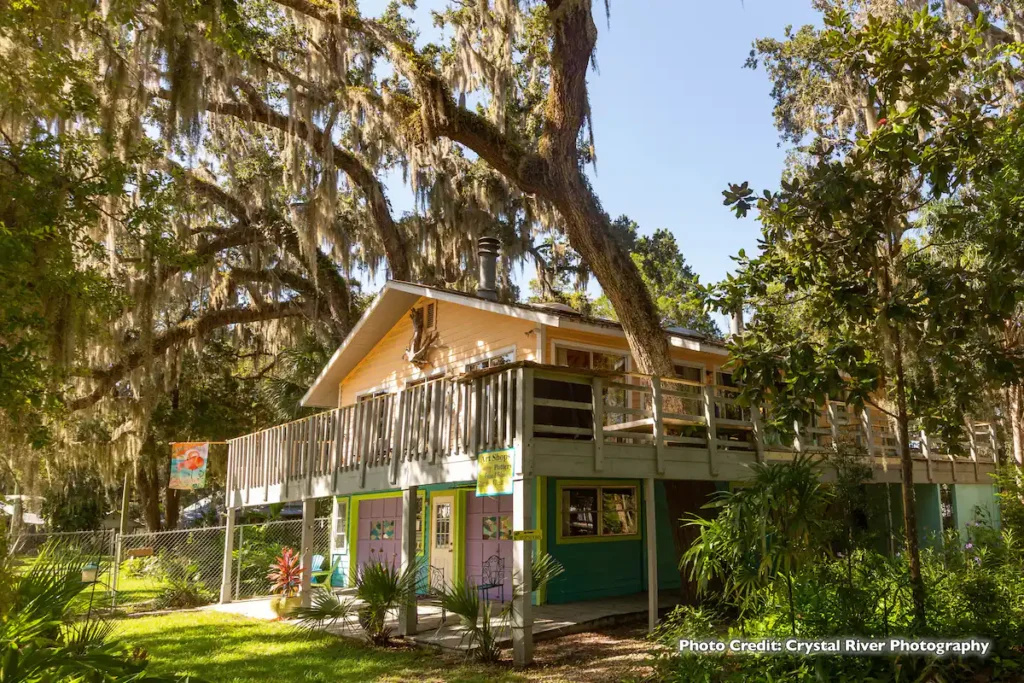 20 Top Treehouse Rentals in Florida (Unique and Fun Stays!)