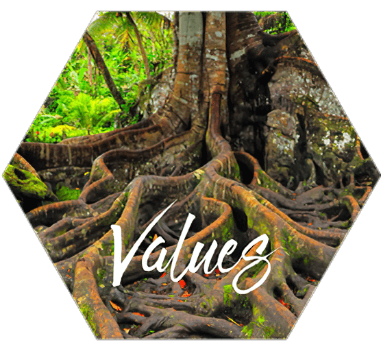 Schedule | Dance Alive