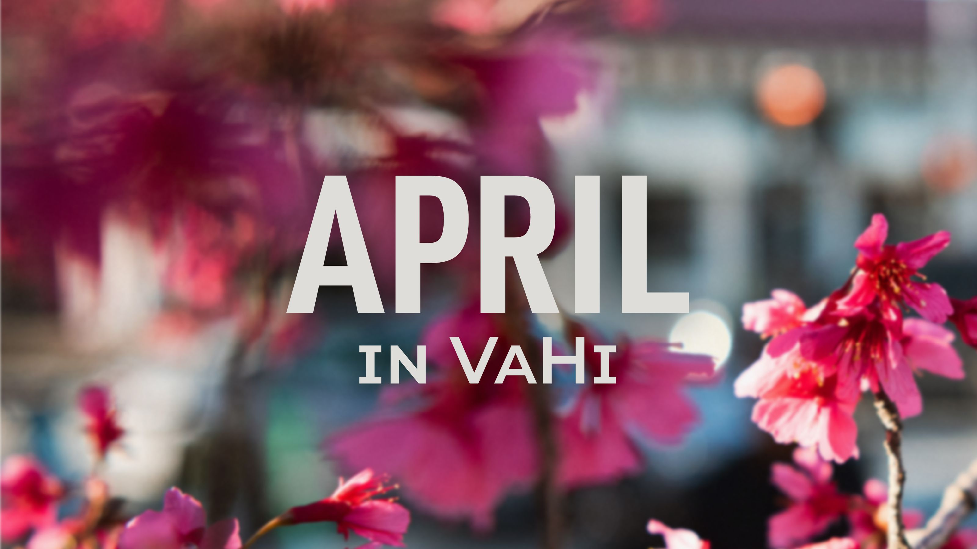 Welcome to the Virginia Highland District