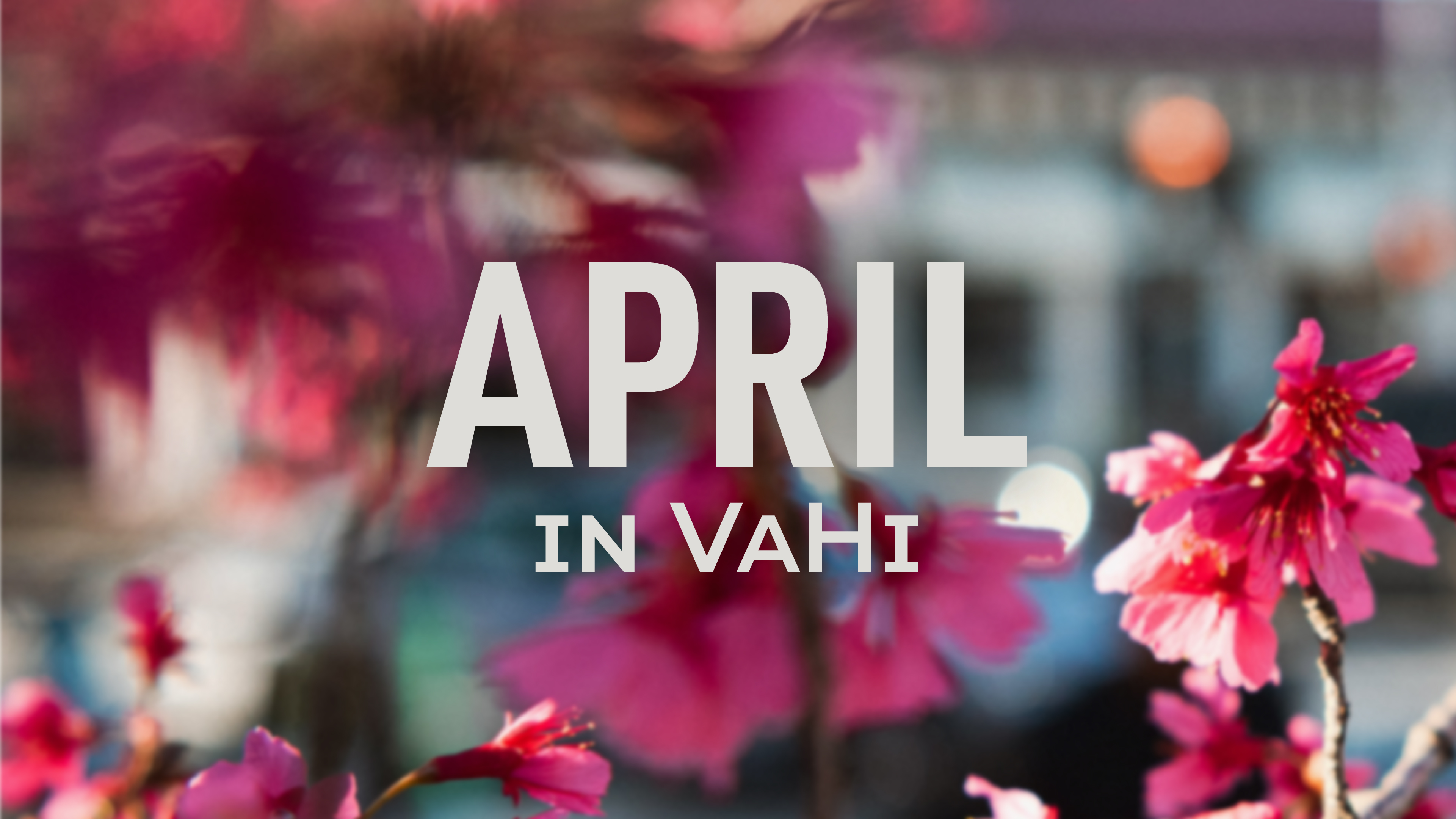 Welcome to the Virginia Highland District