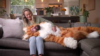 Couch Cuddle | Breeder's Choice