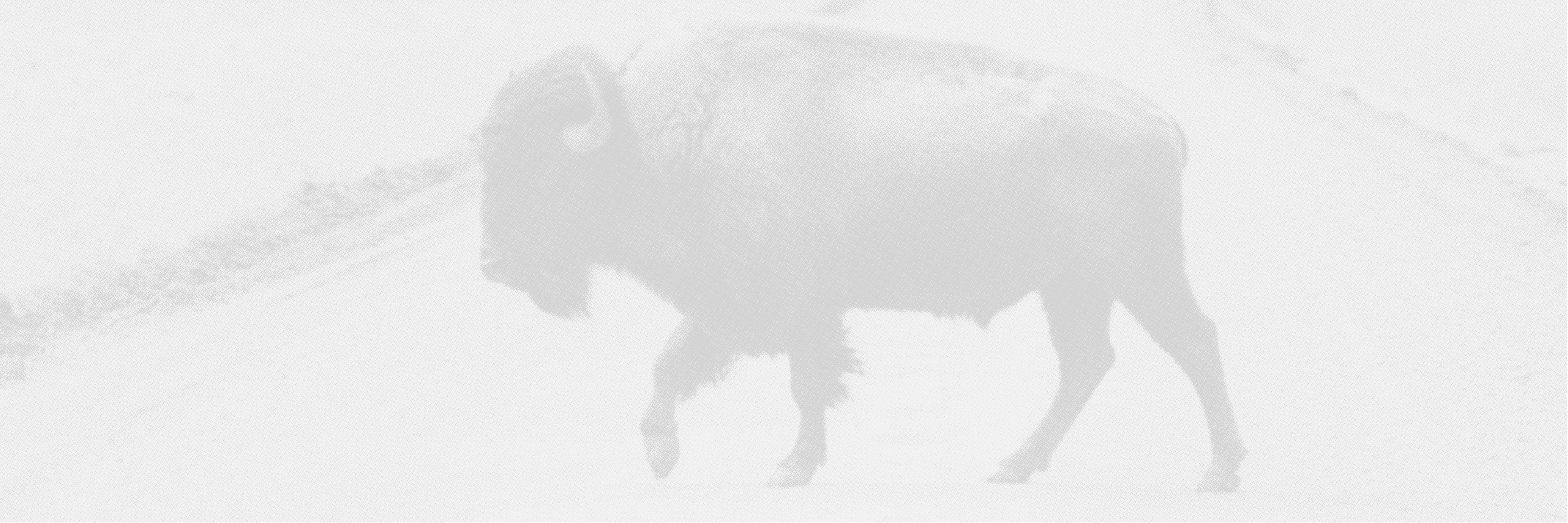 Your Brand Is More Than A Logo | Tripass Design Blog