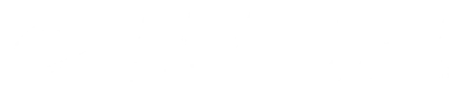 Maximum Technologies