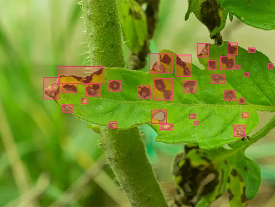 2D Image Annotation Services & Tools | Sama