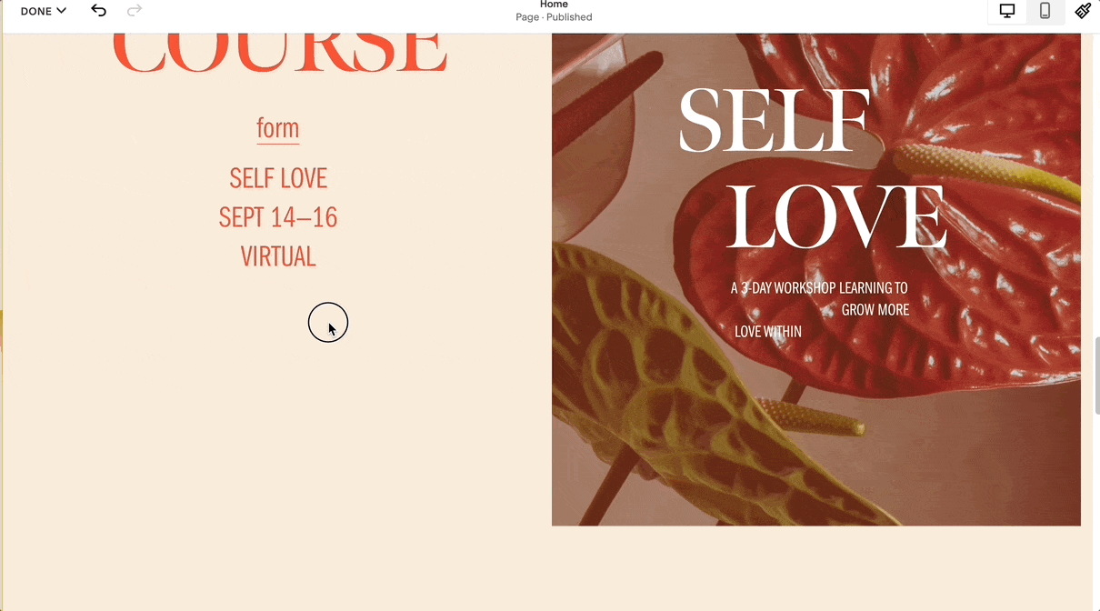 How to embed a form on Squarespace - Formaloo
