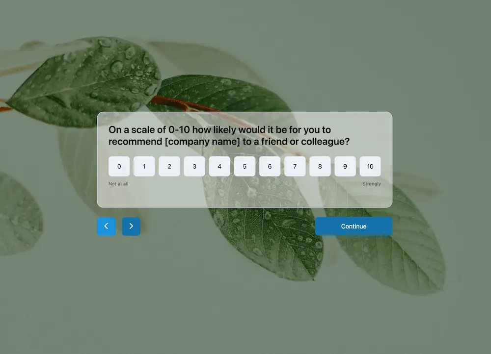 Craving for customer insights? Top feedback form ideas - Formaloo
