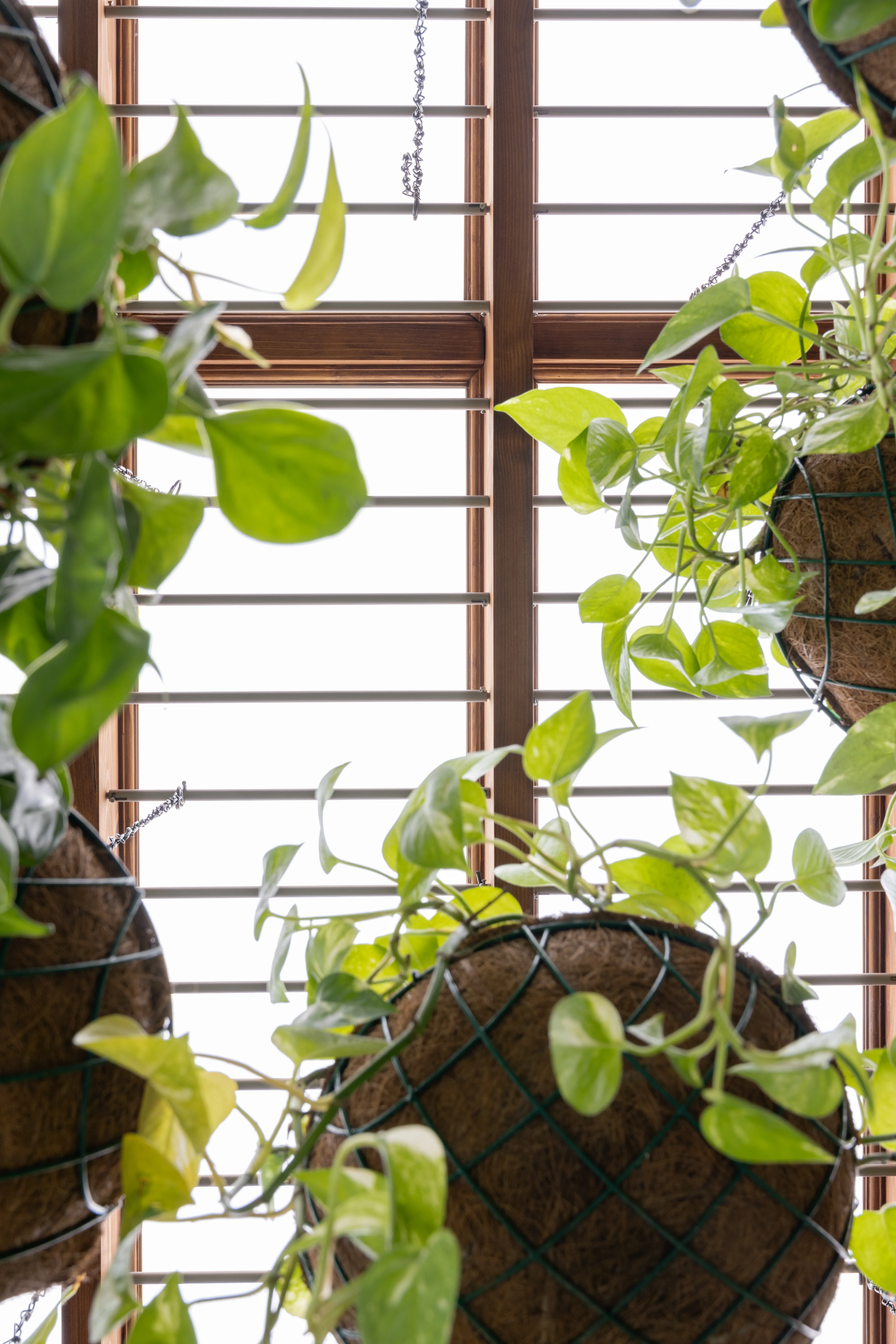 SUNROOOF | Simulated Skylights & Windows