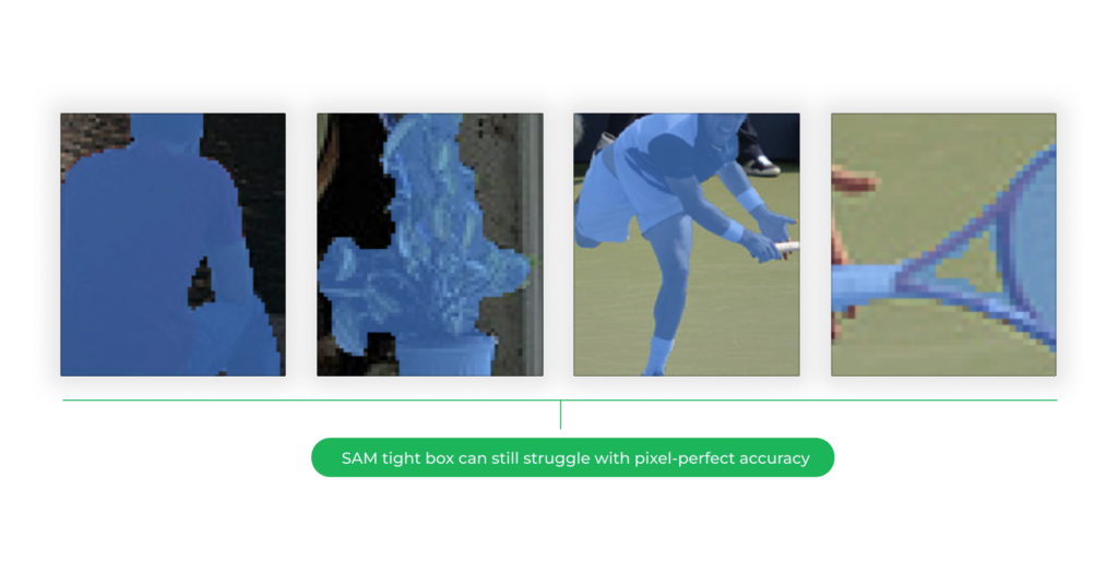 What is Segment Anything Model (SAM) & its Uses | Sama