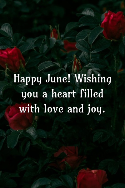 Joyful June: Quotes for a Wonderful Month Ahead · Motivation Blog ...