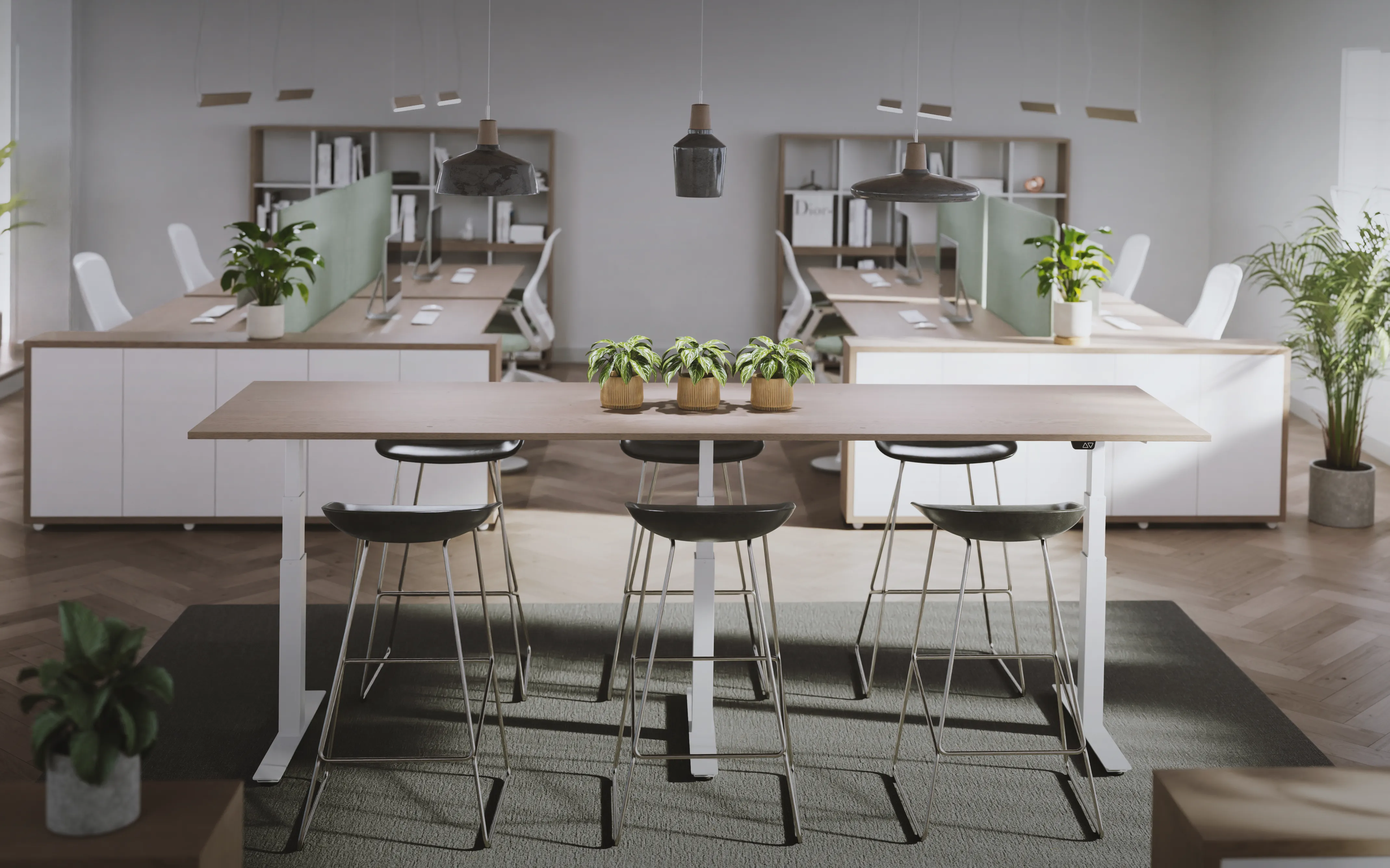 ROL Workplace | Colab 1