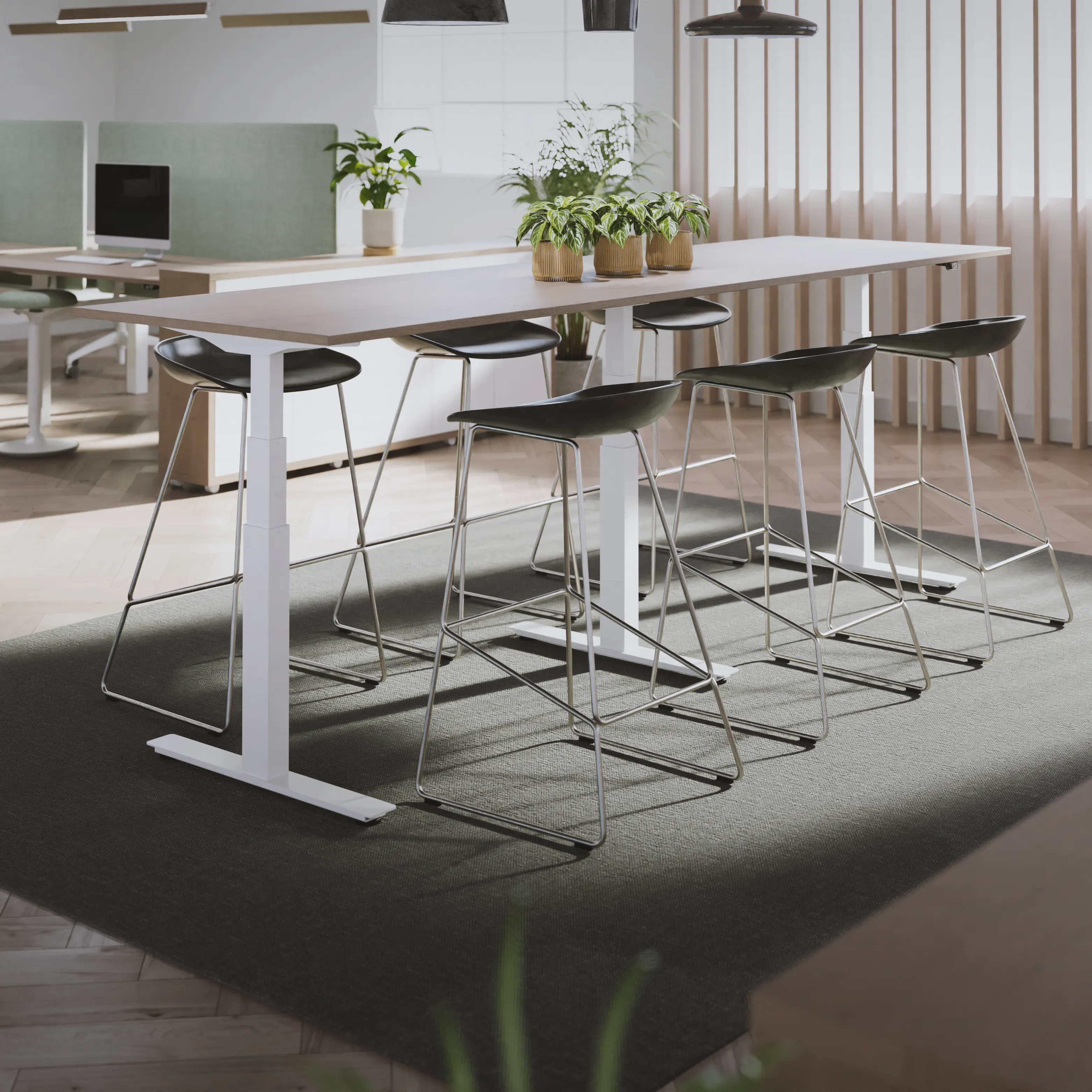 ROL Workplace | Home