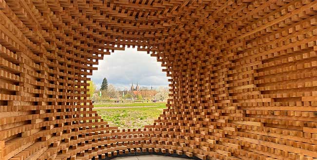 A reverse time travel | experiences | jangled nerves