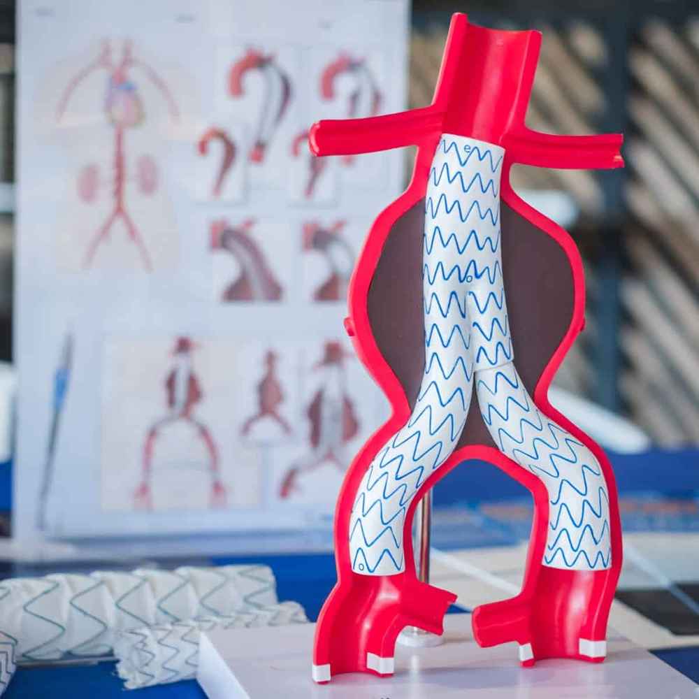 Aortic Dissection Awareness Day 2024