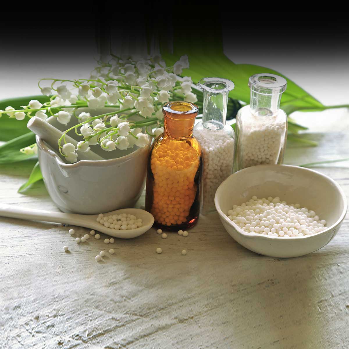 World Homeopathy Day 2024