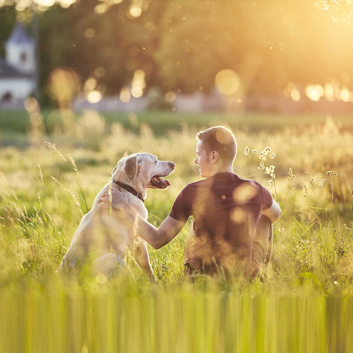 National Dog Parent Appreciation Day 2024