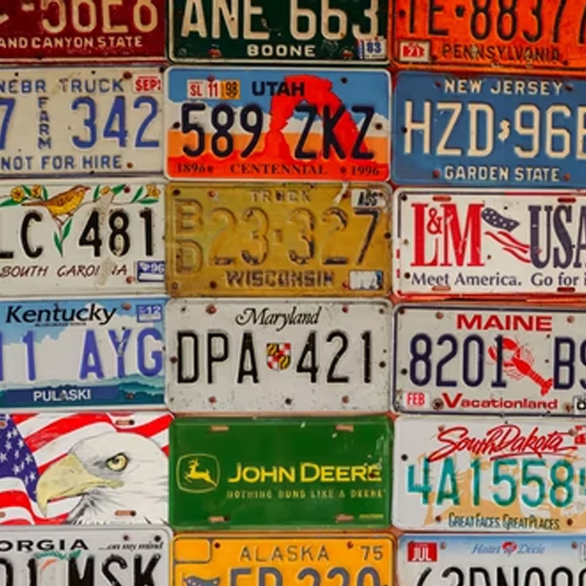 License Plate Day 2024