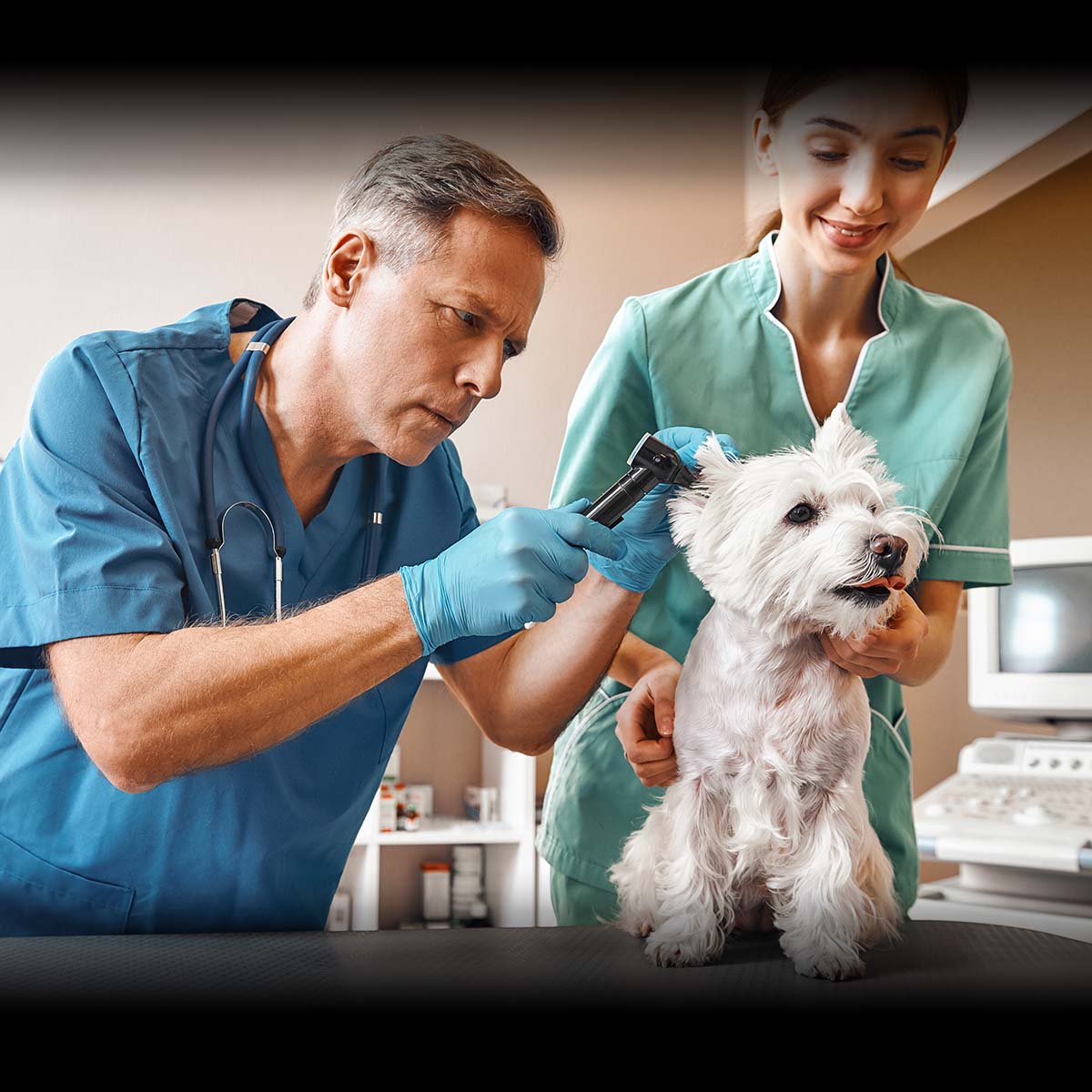 Pet Tech CPR Day 2024