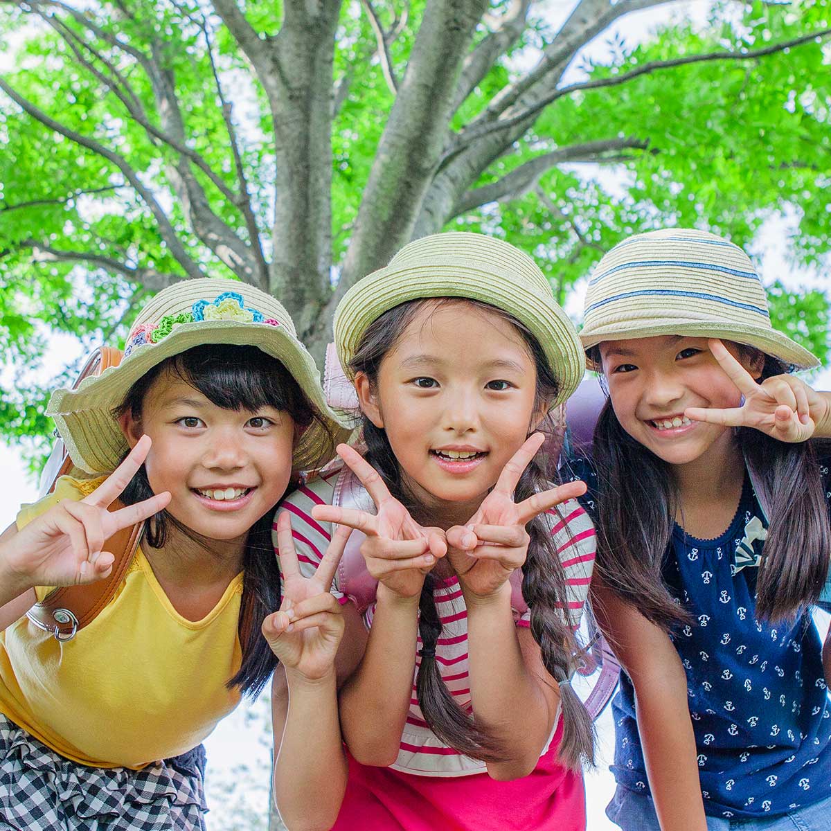 Children’s Day (Kodomo no Hi) 2024