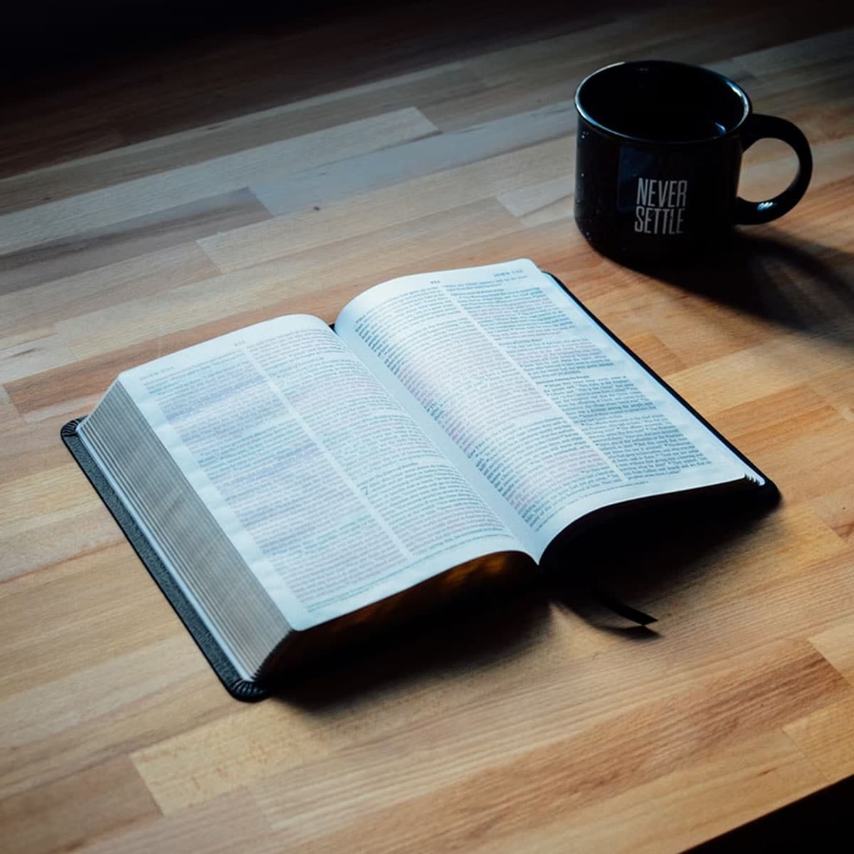 National Book Week 2024