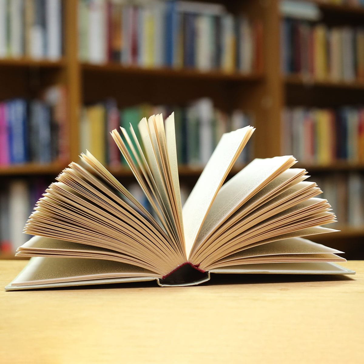 Literacy & Numeracy Week 2024