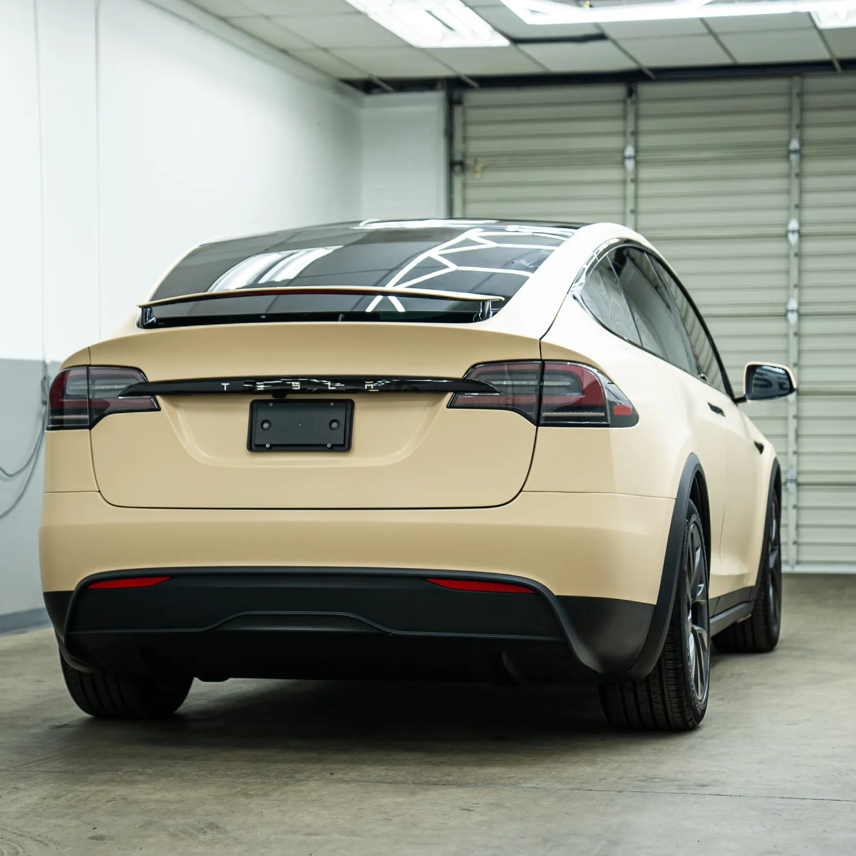 Colored Paint Protection Film