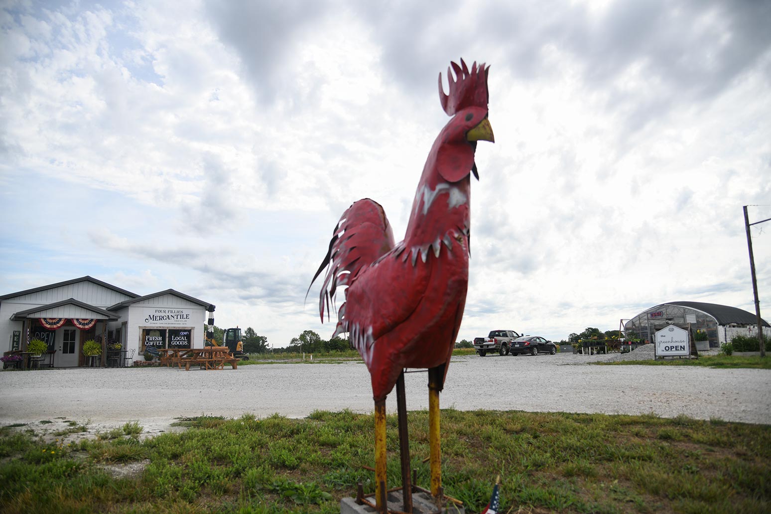 The Red Rooster Antiques Photo Story | New Growth