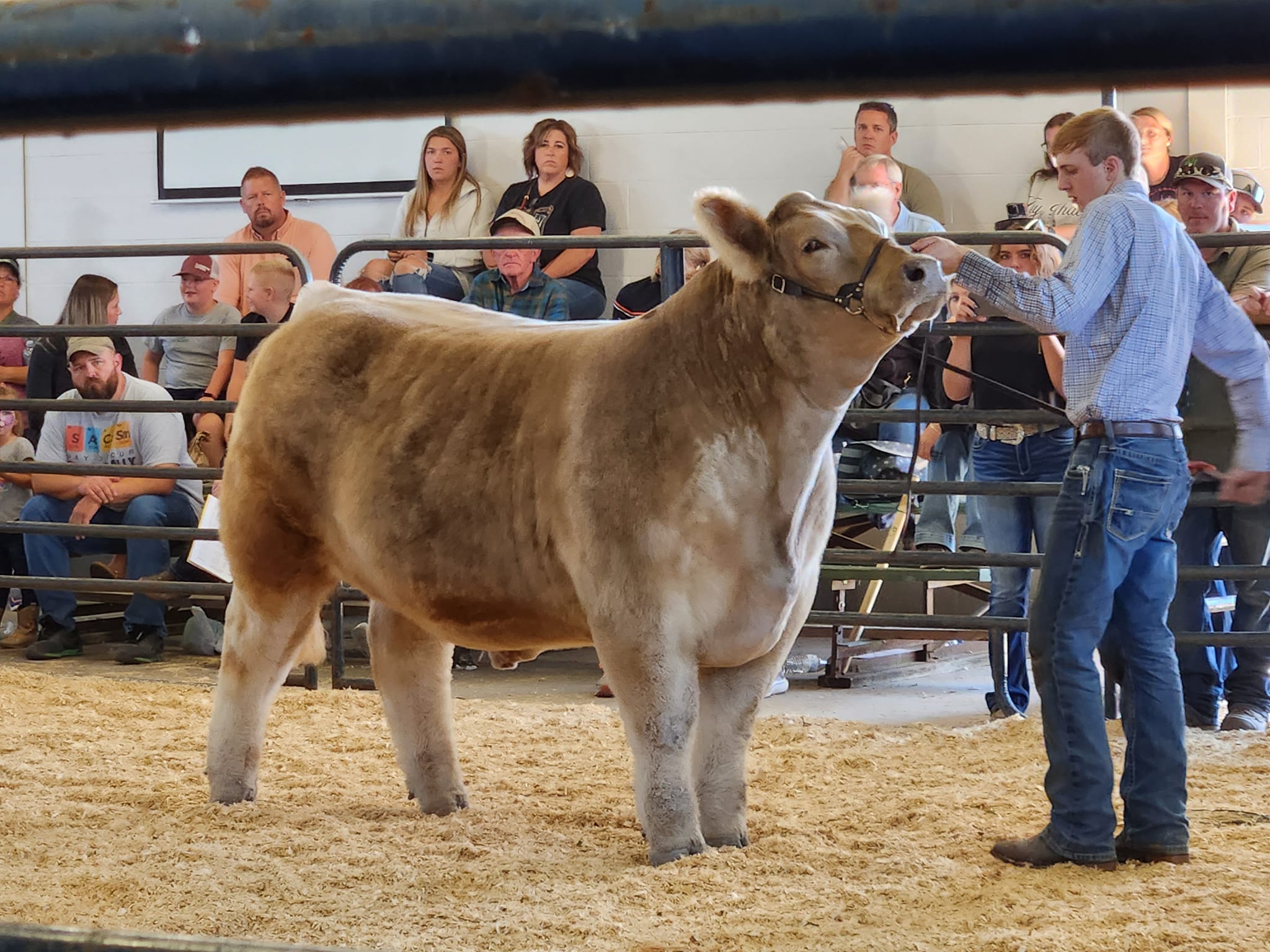 Walworth Fairgrounds