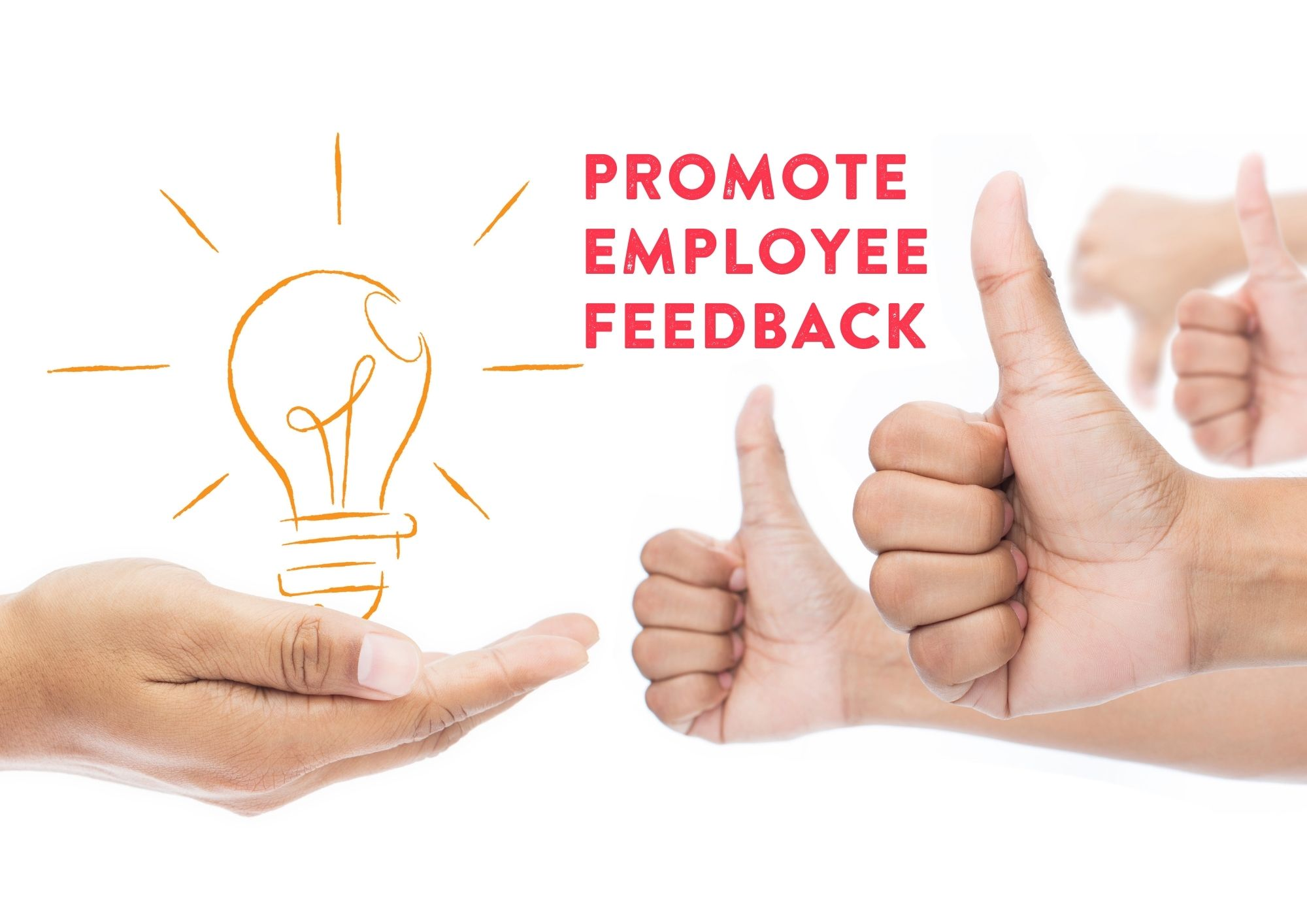 6 Ways To Encourage Feedback From Employees