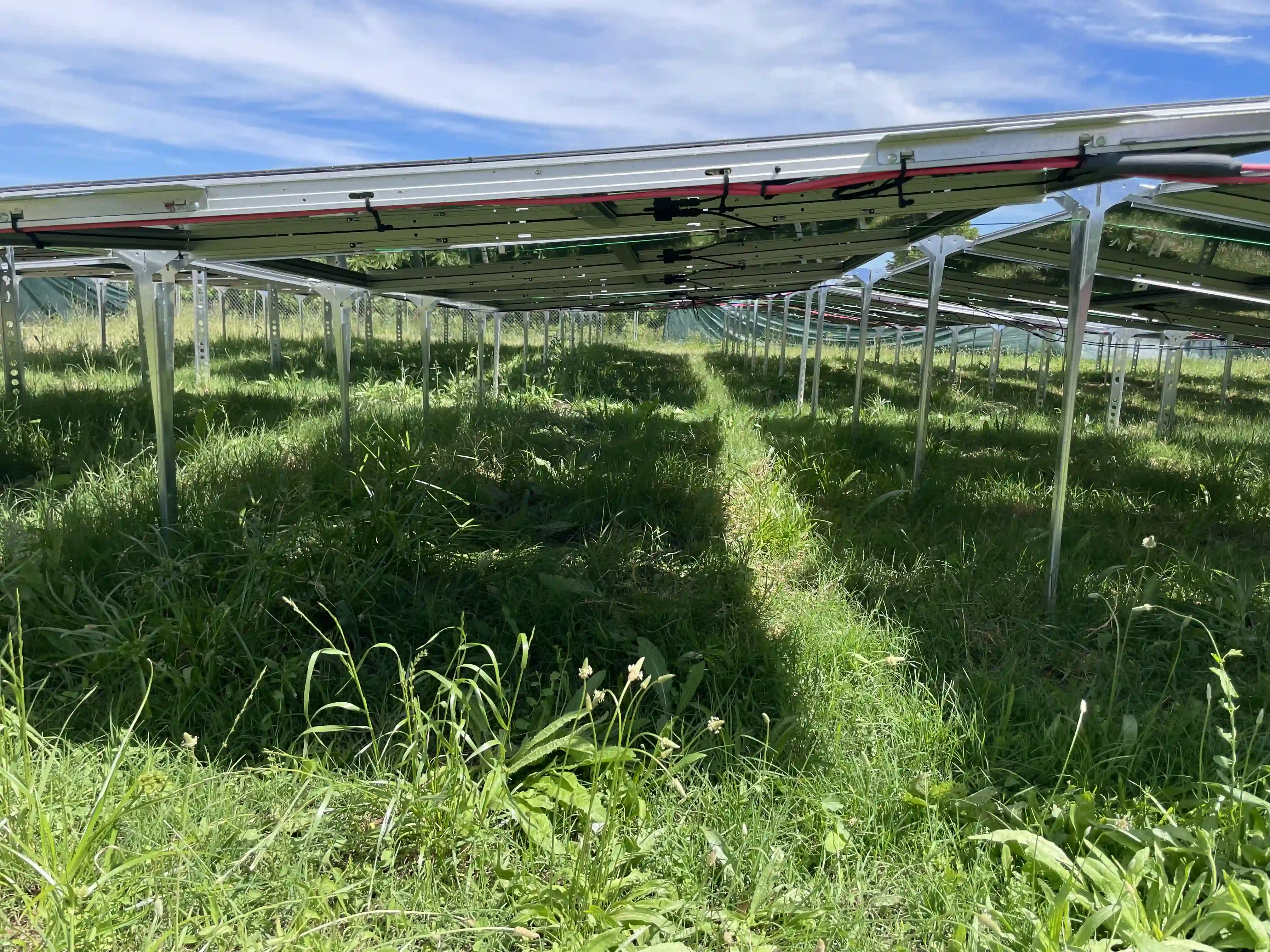 Lower impact on land. Higher project throughput. - News & Insights ...