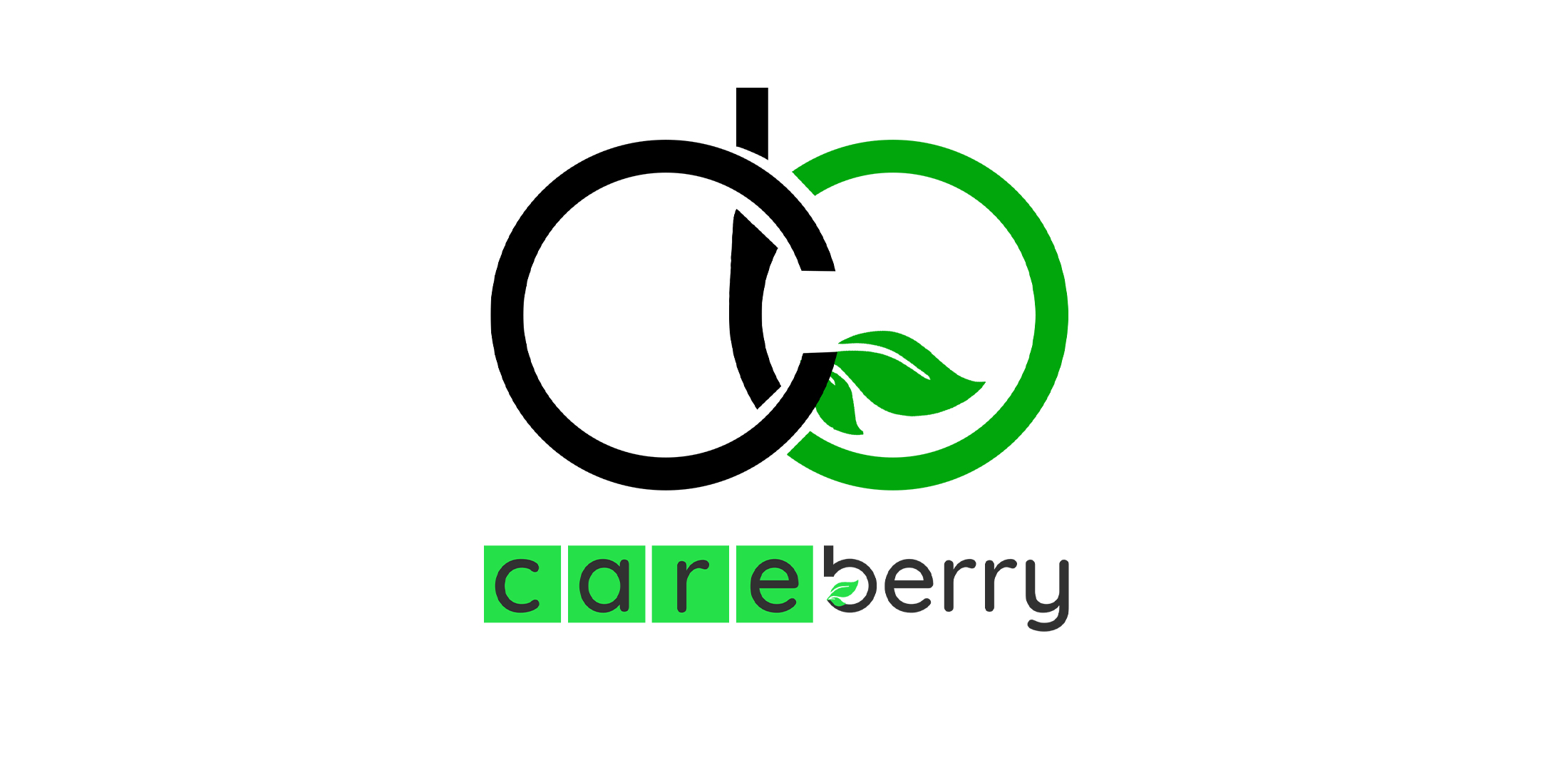 Careberry | Care Management Platform | All-in-One Care Software