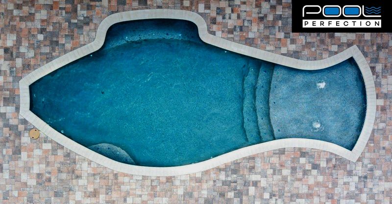 Pool Designs Gallery | Pool Perfection Tampa Bay