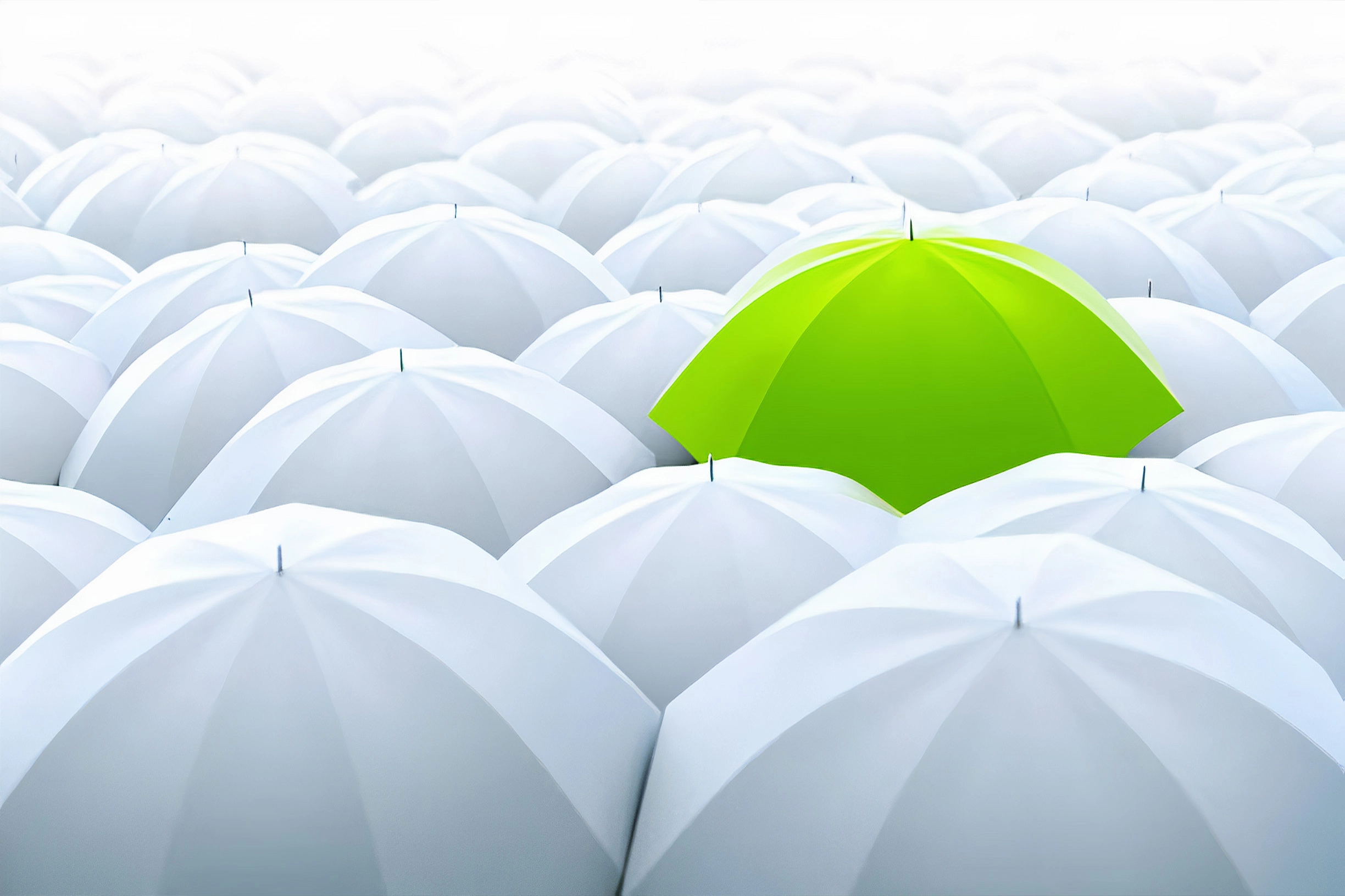 What Makes Careberry Unique! | Careberry