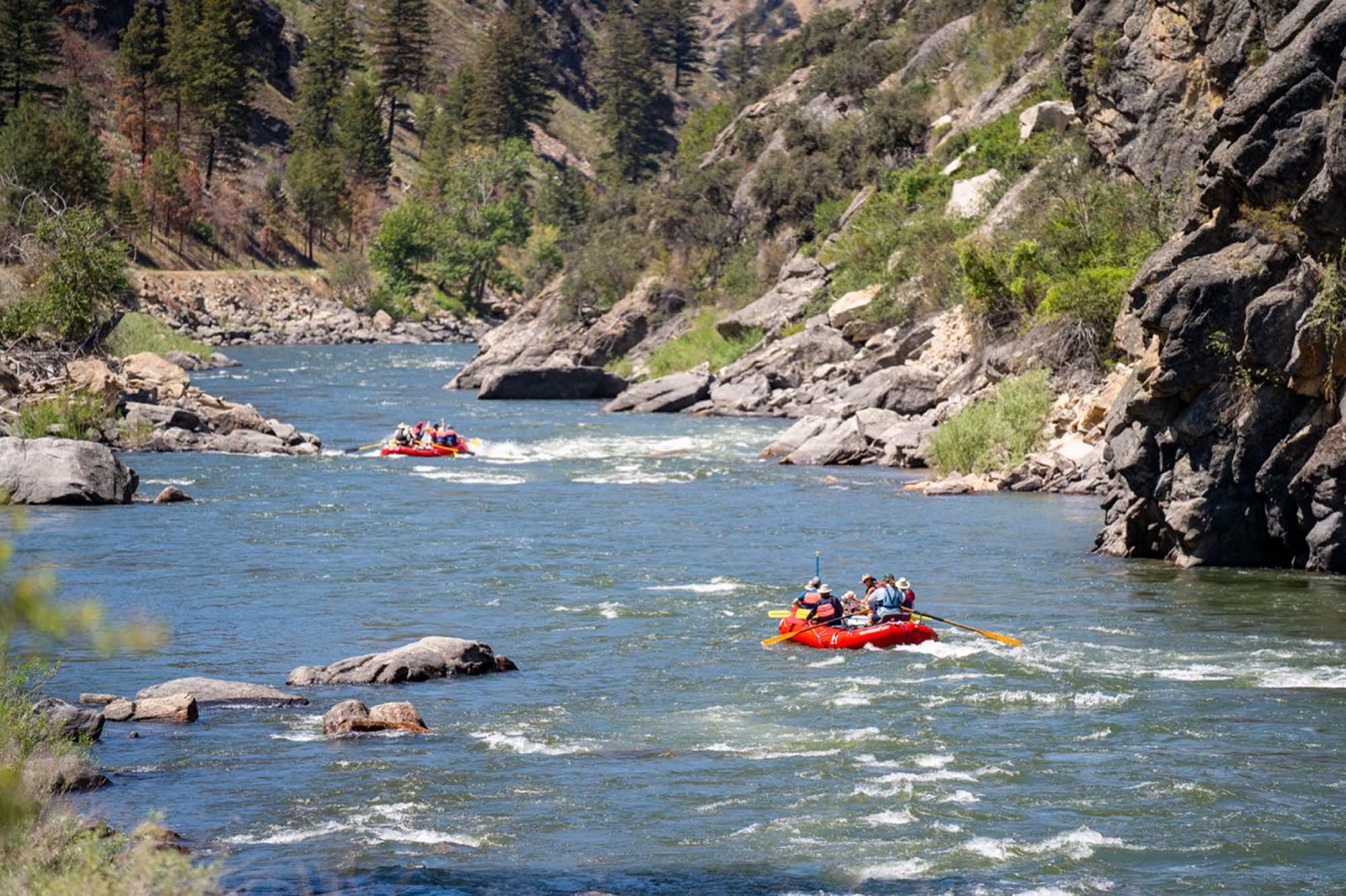 Learn More About the Best River Outfit on the Salmon River