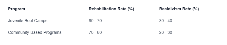 The Effectiveness of Juvenile Boot Camps and Their Impact