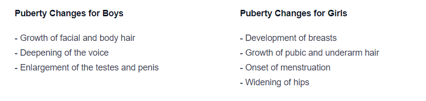Middle Adolescence: Teenage Developmental Stages