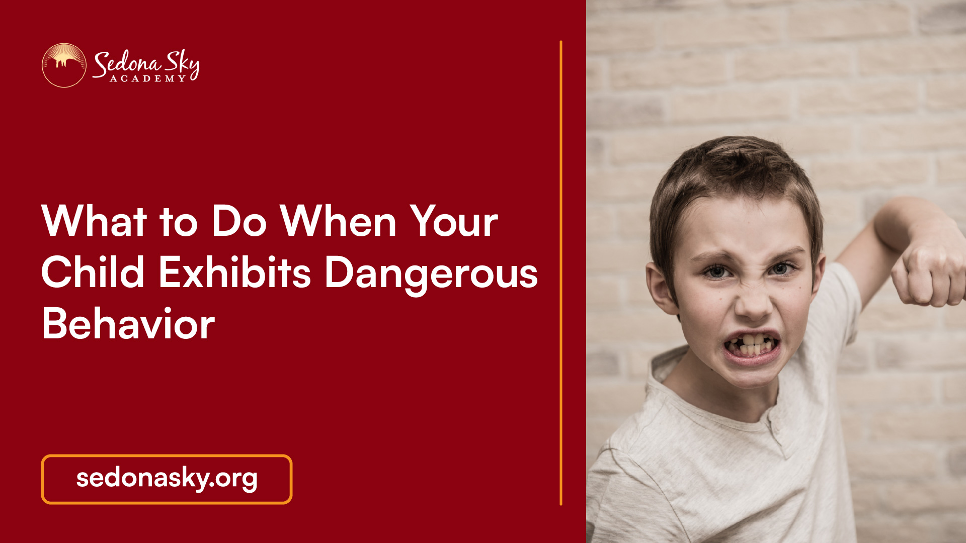 What to Do When Your Child Exhibits Dangerous Behavior