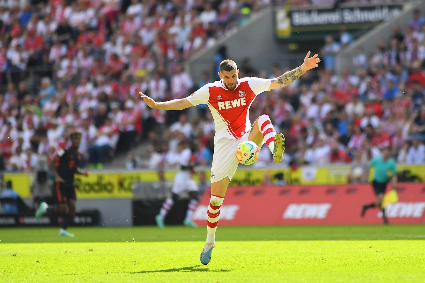 Julian Chabot's Potential €4m Summer Move from 1. FC Köln