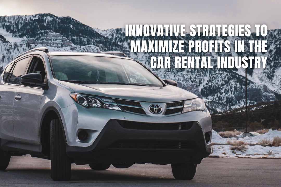 Strategies to Maximize Profits in the Car Rental Industry