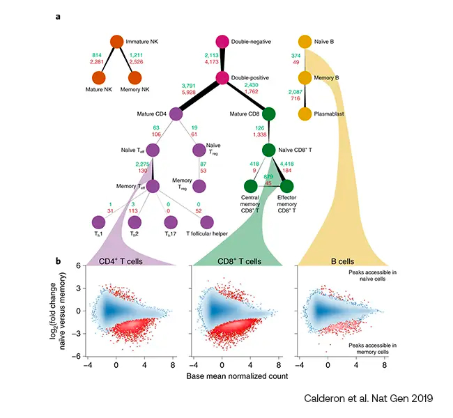 Genetics and Epigenomics of Immune Function and Autoimmune Disease