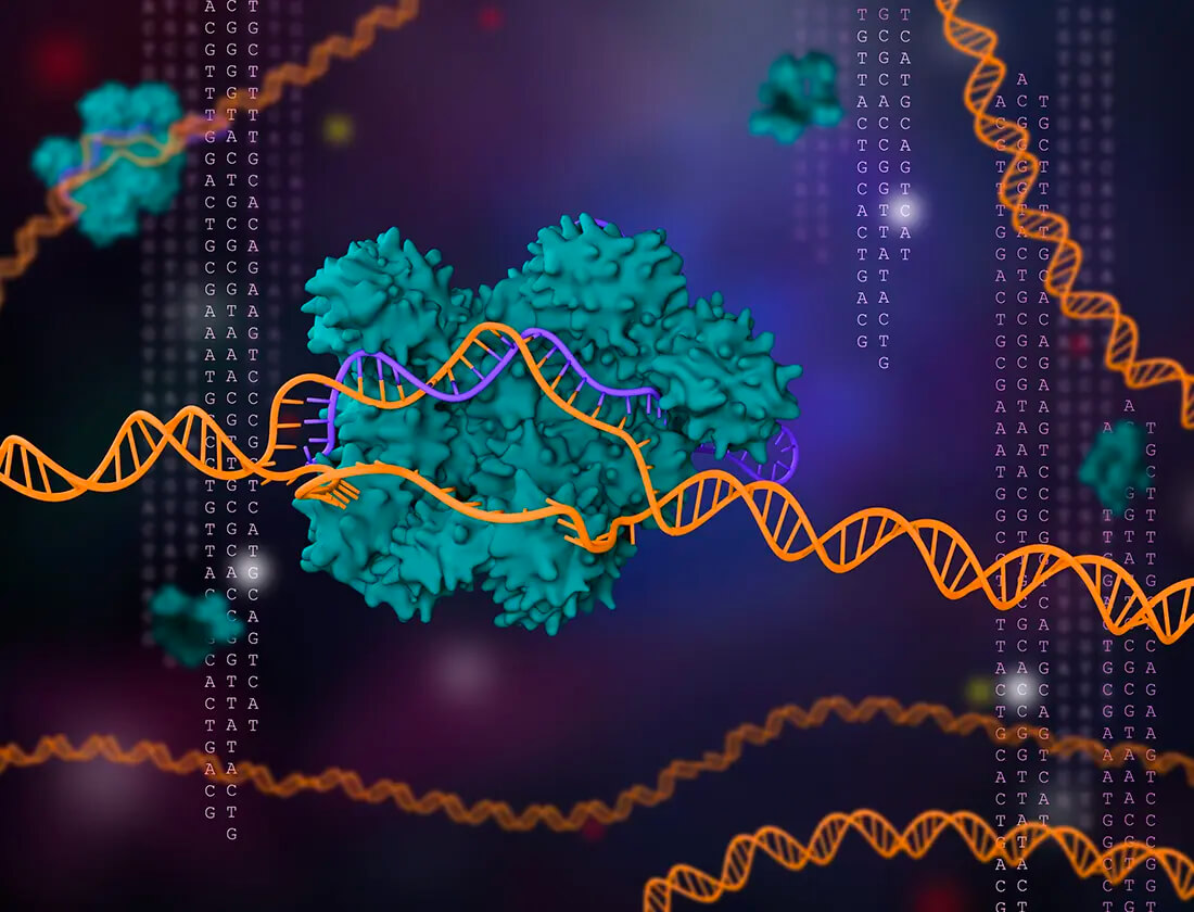 Functional Genomics of Immune Cells