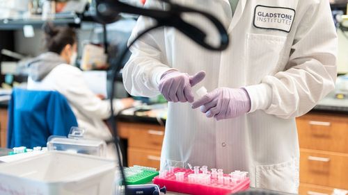 Publications - Marson Lab