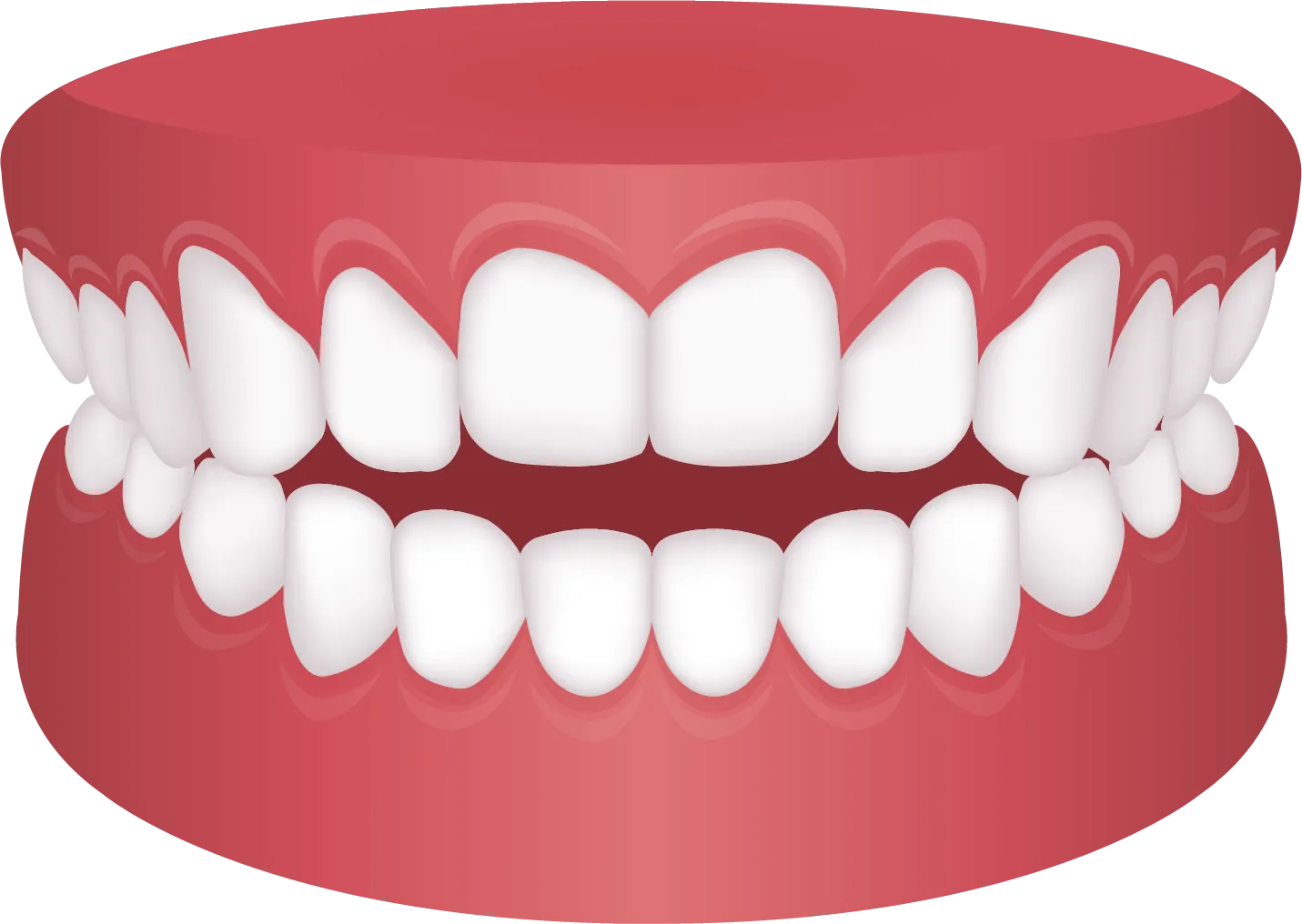 Dunedin Orthodontics | Specialist Orthodonist | Otago NZ